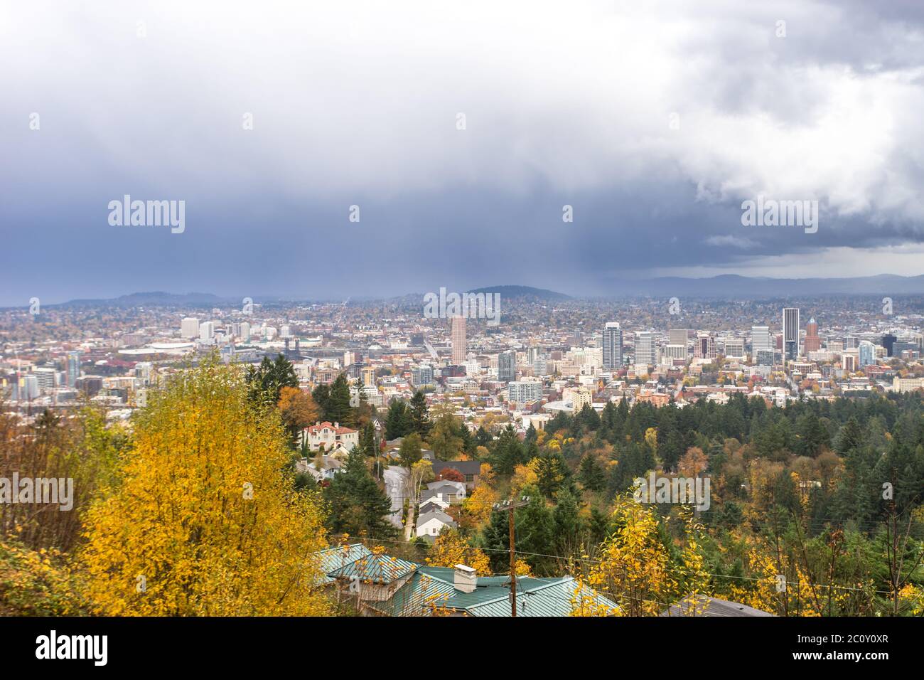 cityscape and skyline of portland on view from forest Stock Photo - Alamy