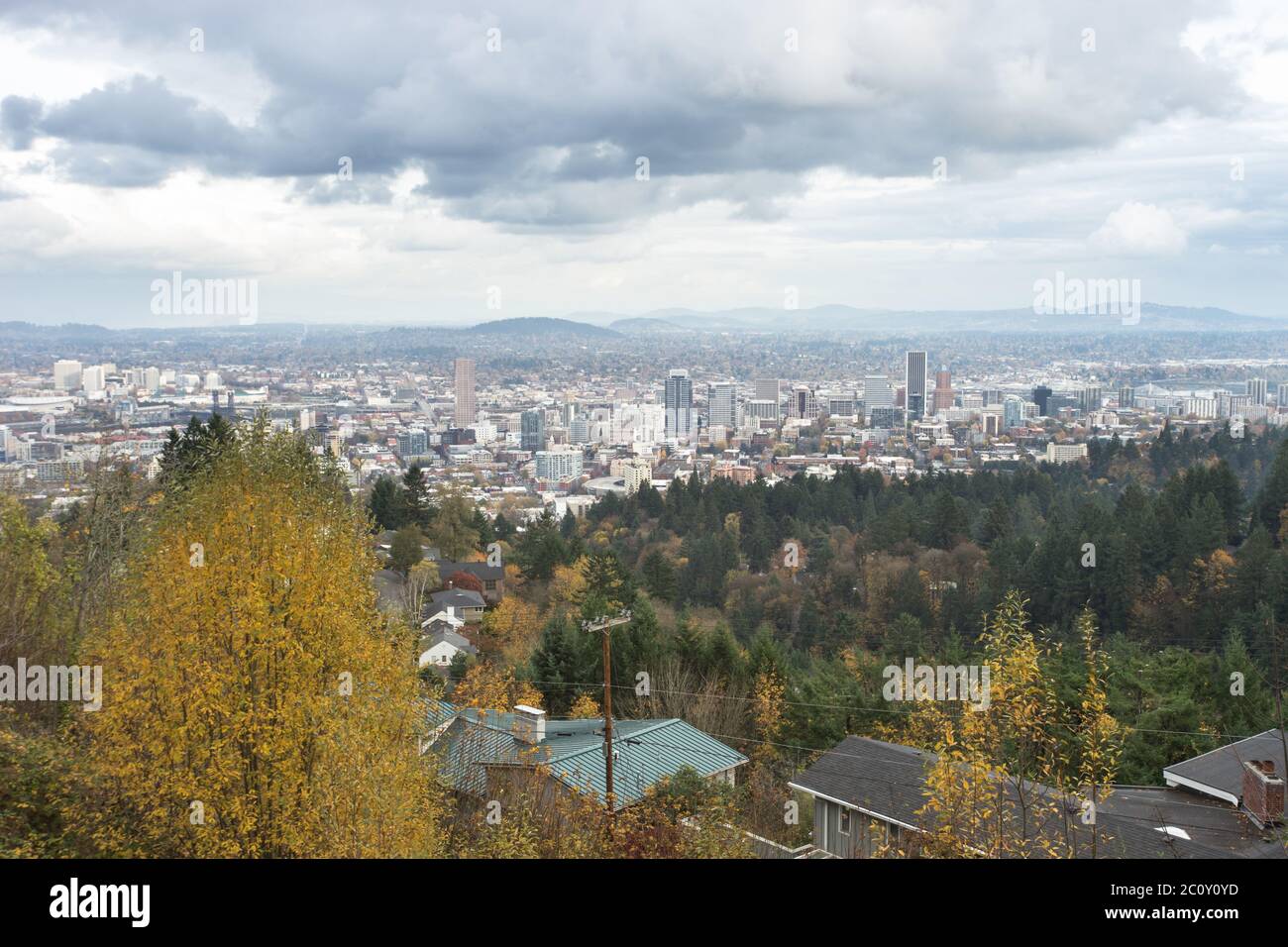 Portland forest hi-res stock photography and images - Alamy