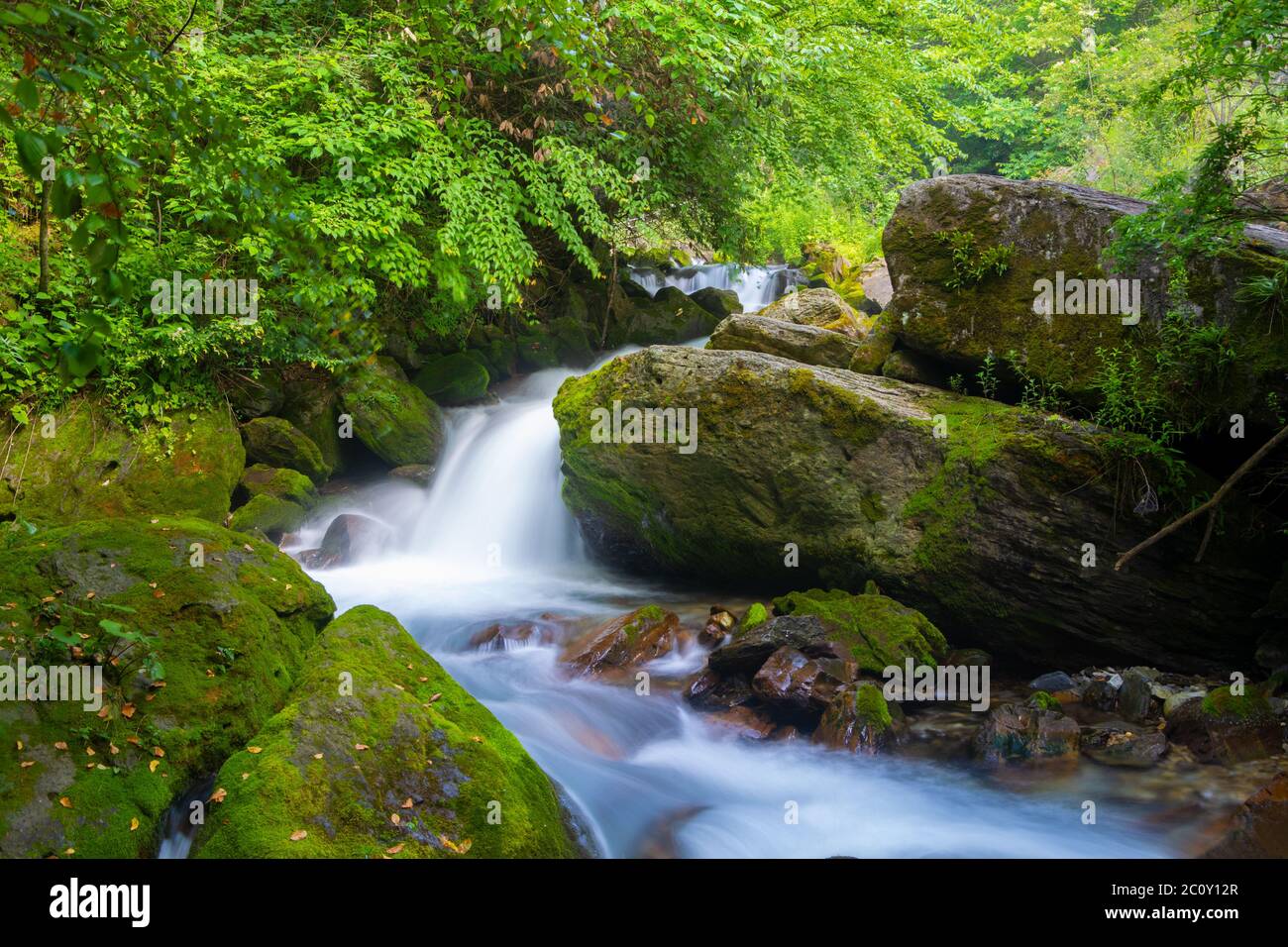Early autumn scenery of Hubei Shennongjia National Geopark Scenic Area ...