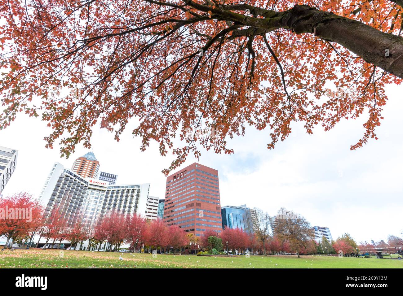 park with cityscape and skyline in portland Stock Photo - Alamy