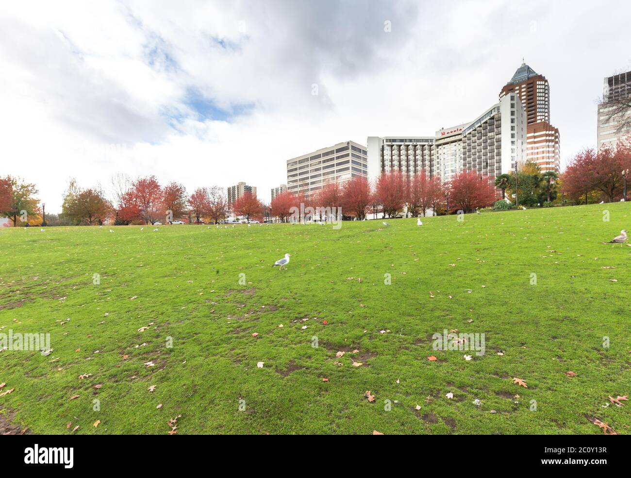 park with cityscape and skyline in portland Stock Photo - Alamy