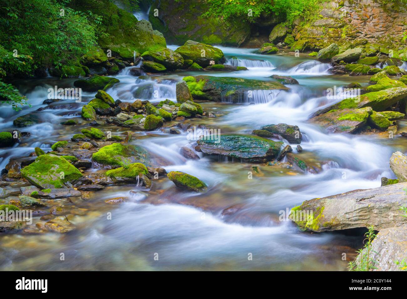 Early autumn scenery of Hubei Shennongjia National Geopark Scenic Area ...