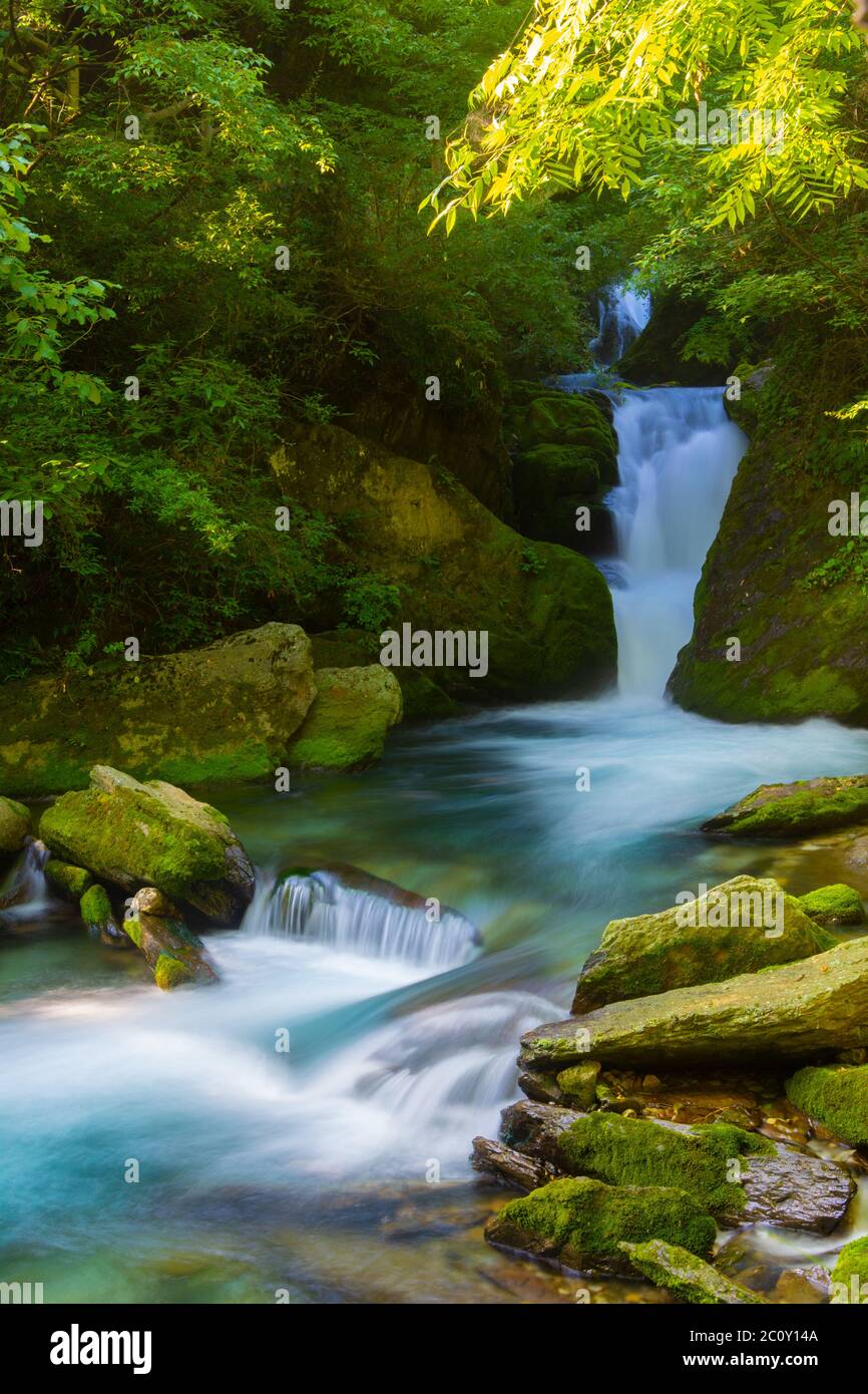 Early autumn scenery of Hubei Shennongjia National Geopark Scenic Area ...