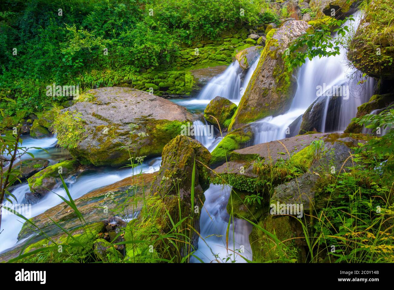 Early autumn scenery of Hubei Shennongjia National Geopark Scenic Area ...