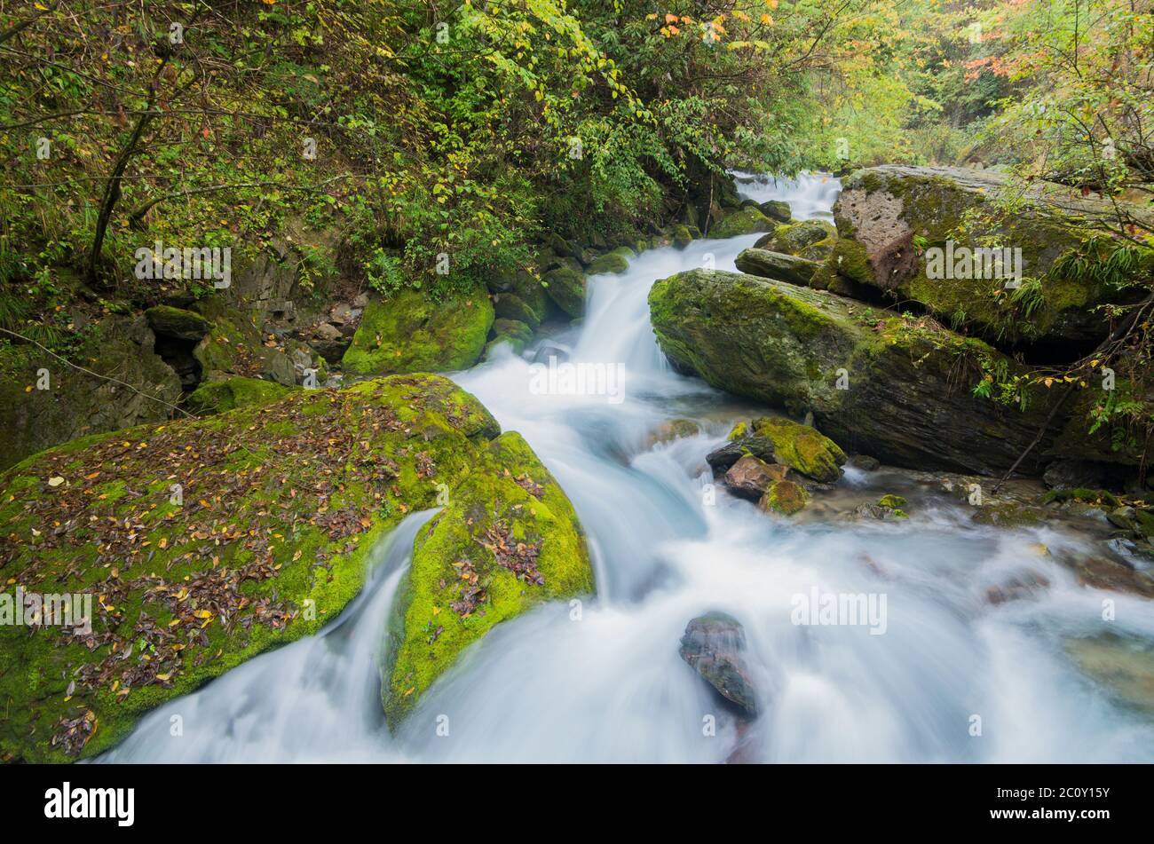 Early autumn scenery of Hubei Shennongjia National Geopark Scenic Area ...