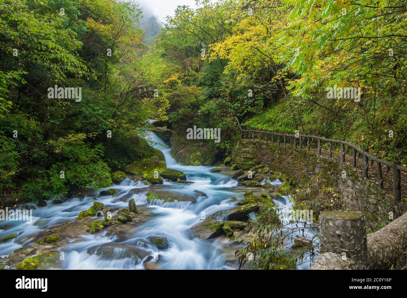 Early autumn scenery of Hubei Shennongjia National Geopark Scenic Area ...