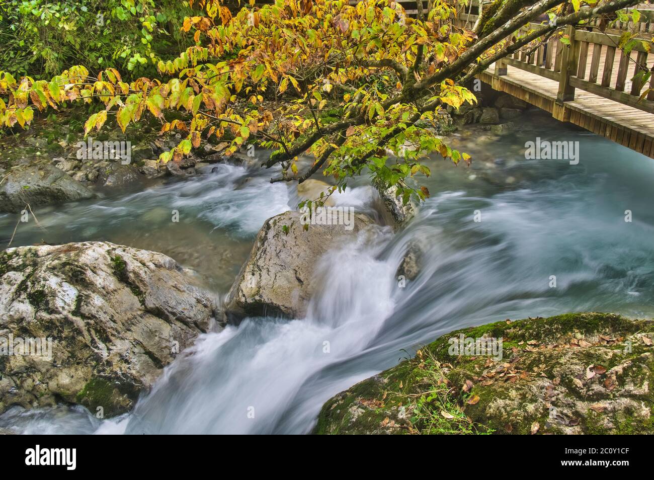 Early autumn scenery of Hubei Shennongjia National Geopark Scenic Area ...