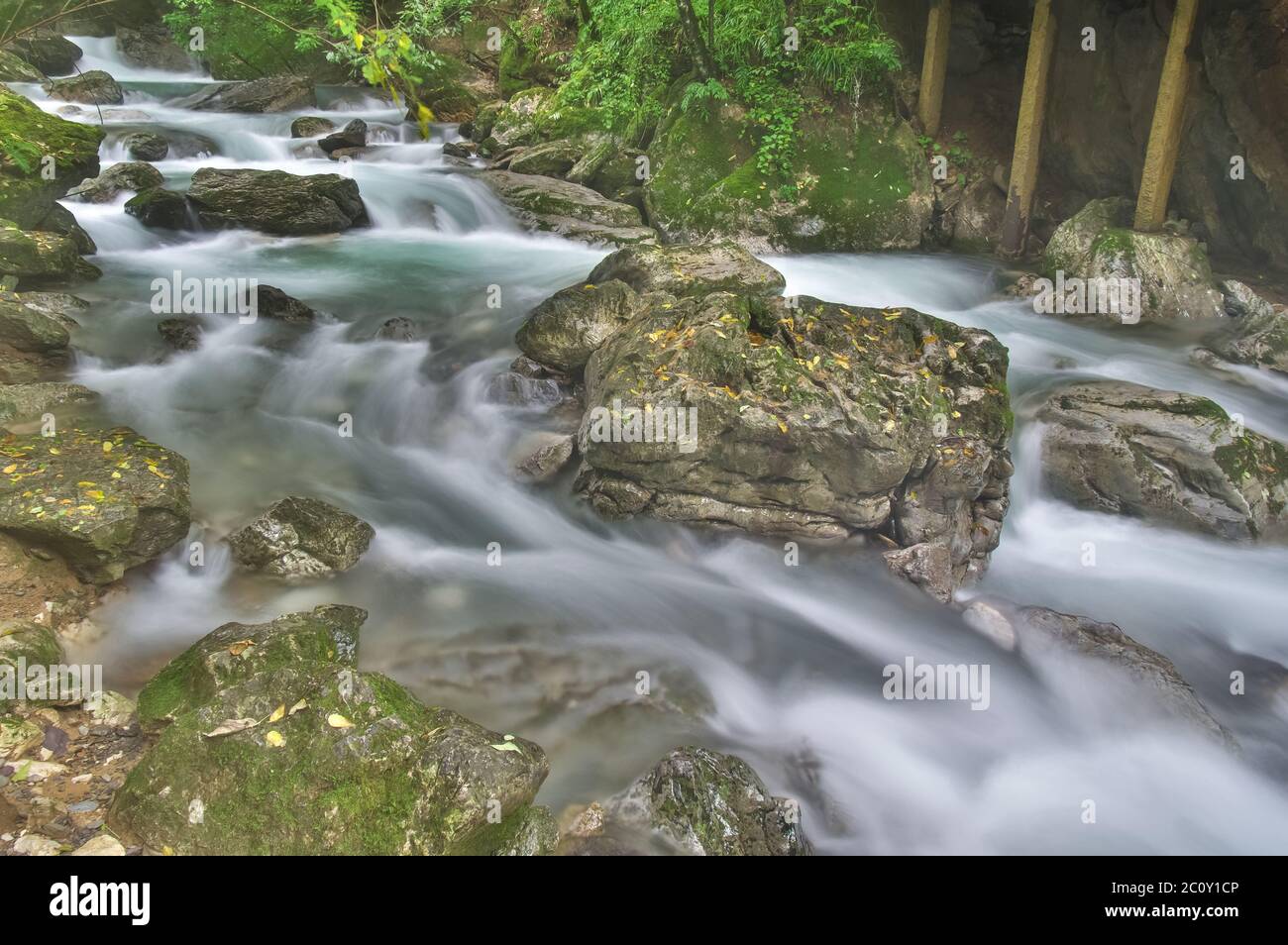 Early autumn scenery of Hubei Shennongjia National Geopark Scenic Area ...