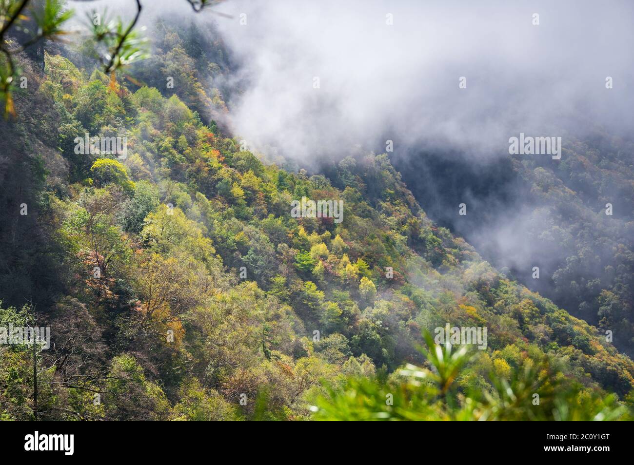Early autumn scenery of Hubei Shennongjia National Geopark Scenic Area ...