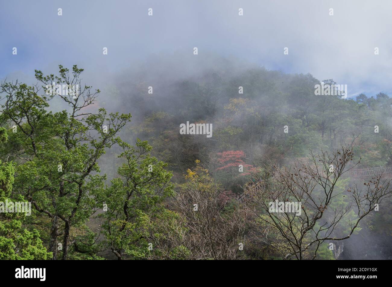 Early autumn scenery of Hubei Shennongjia National Geopark Scenic Area ...