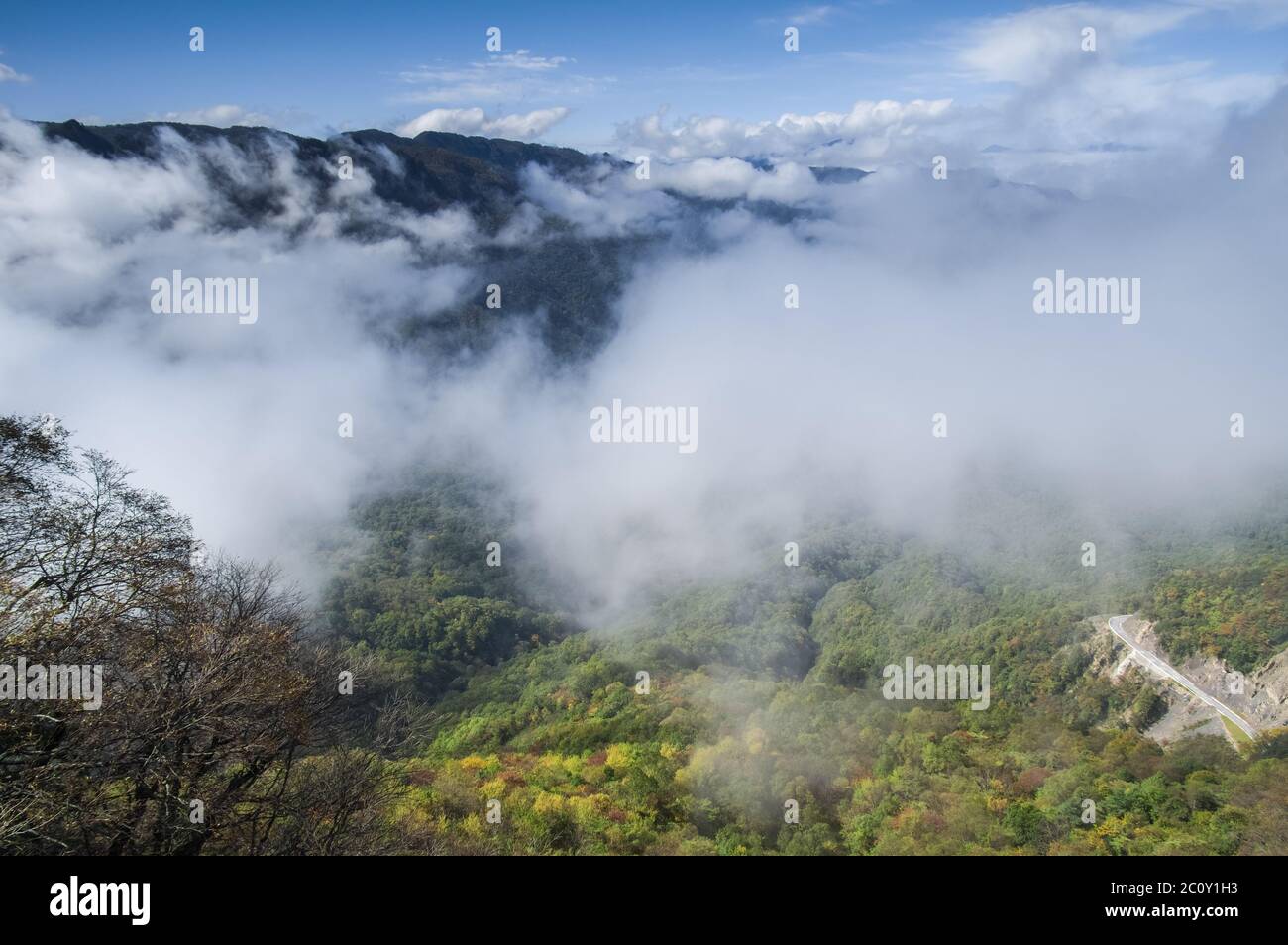 Early autumn scenery of Hubei Shennongjia National Geopark Scenic Area ...