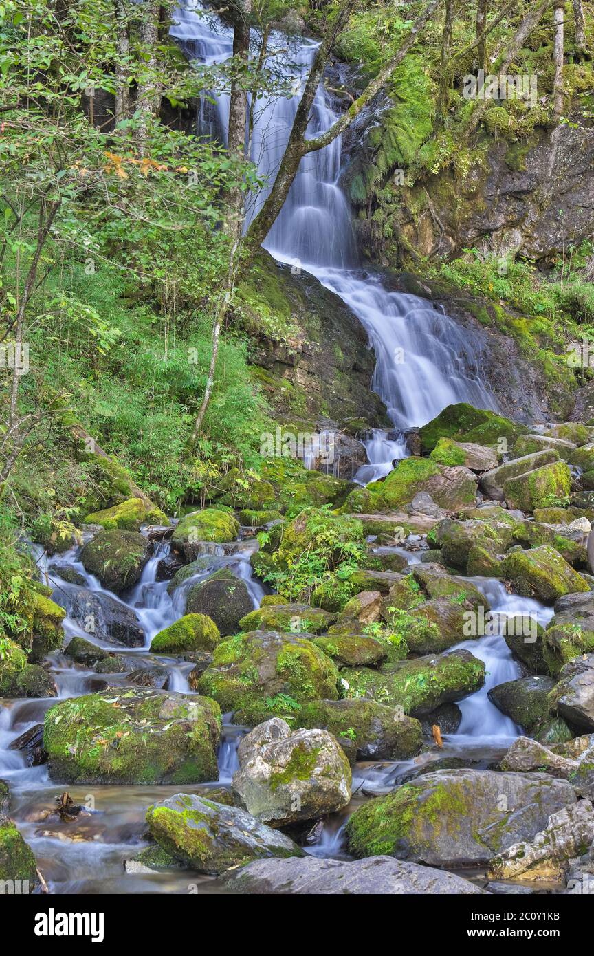 Early autumn scenery of Hubei Shennongjia National Geopark Scenic Area ...