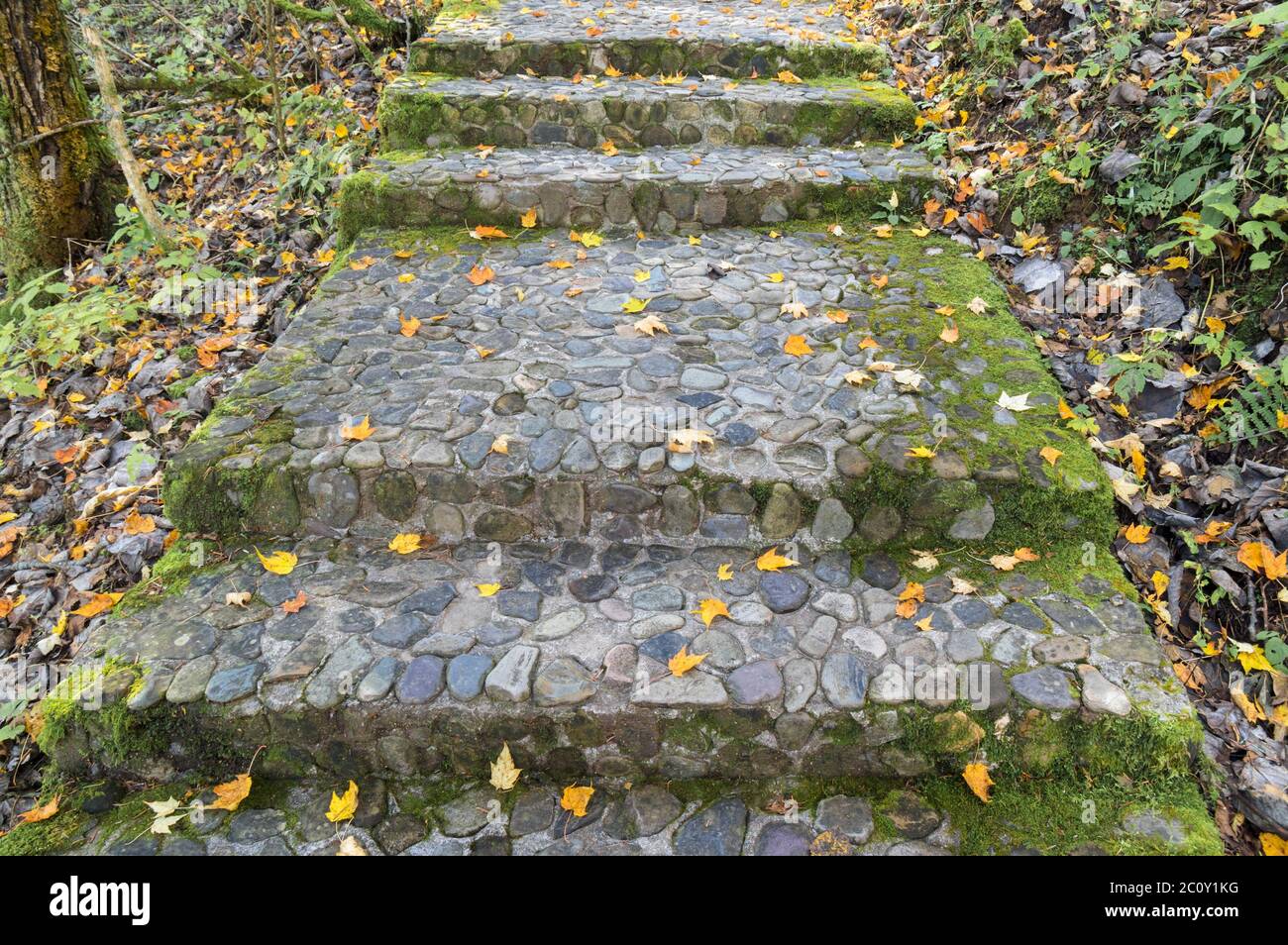 Early autumn scenery of Hubei Shennongjia National Geopark Scenic Area ...