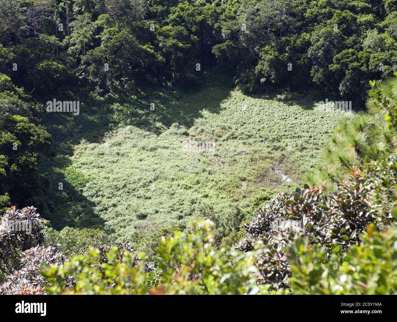 famous Mauritius tourist place- volcano crater Trou aux Cerfs- panorama ...