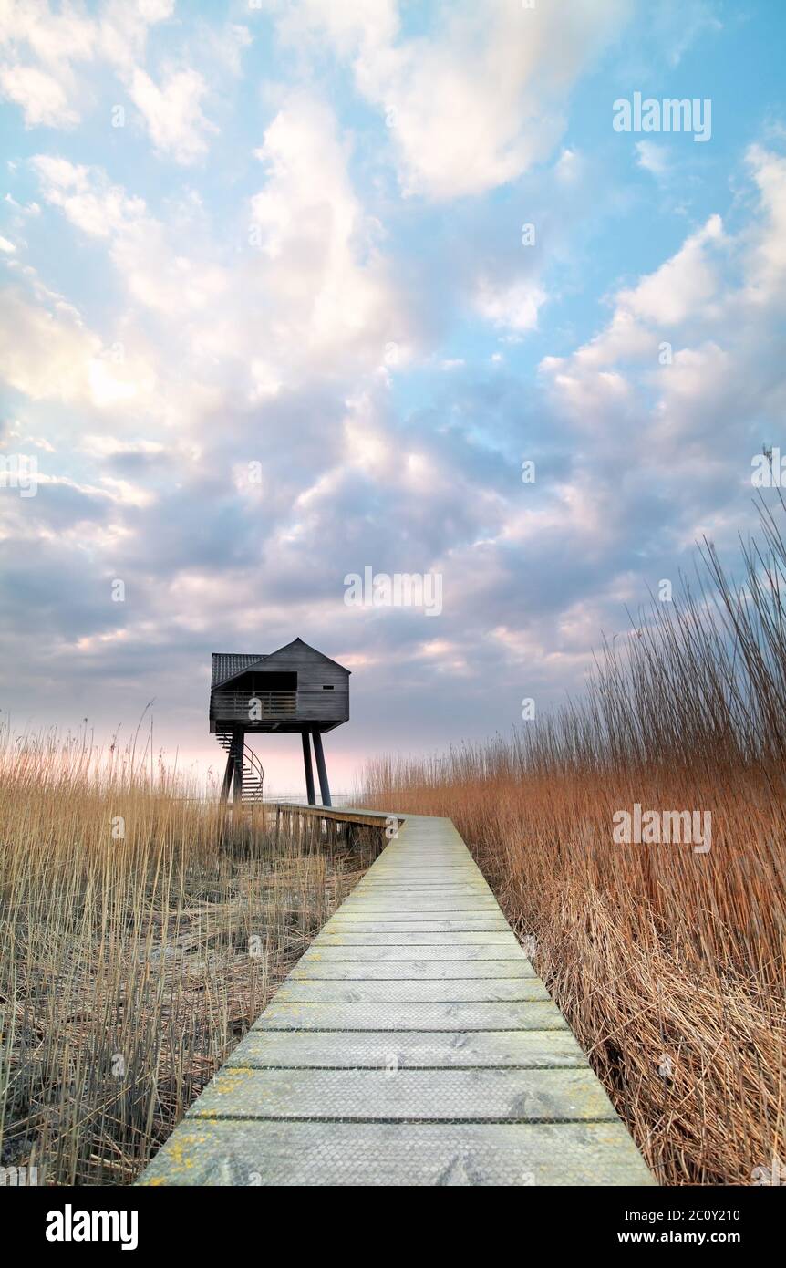 wooden path to observation tower Stock Photo - Alamy