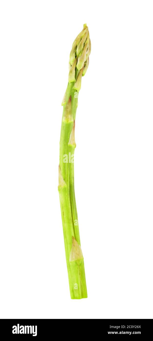 Single asparagus spear hi-res stock photography and images - Alamy