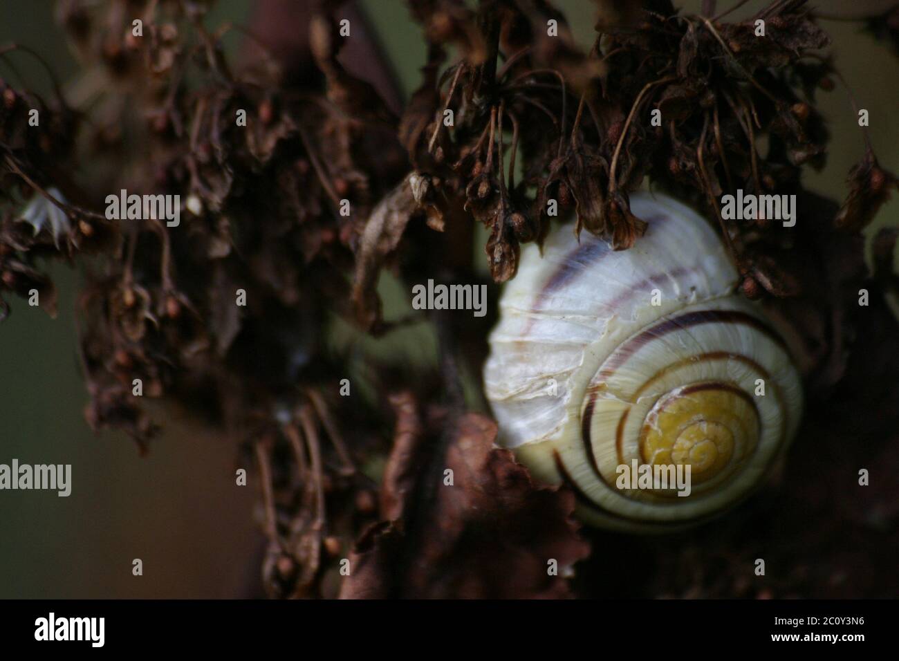 Worm housing hi-res stock photography and images - Alamy