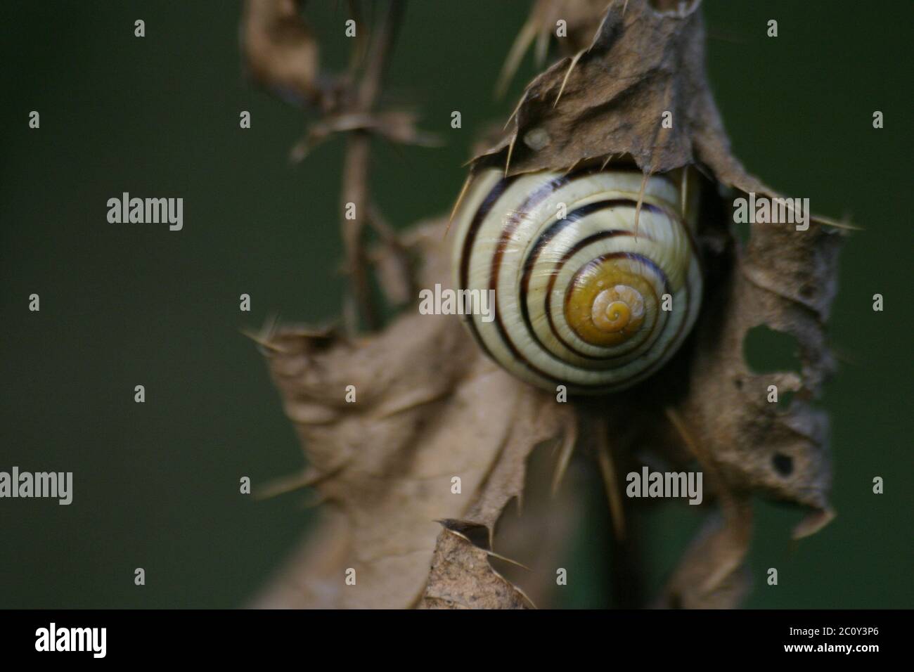 Worm housing hi-res stock photography and images - Alamy