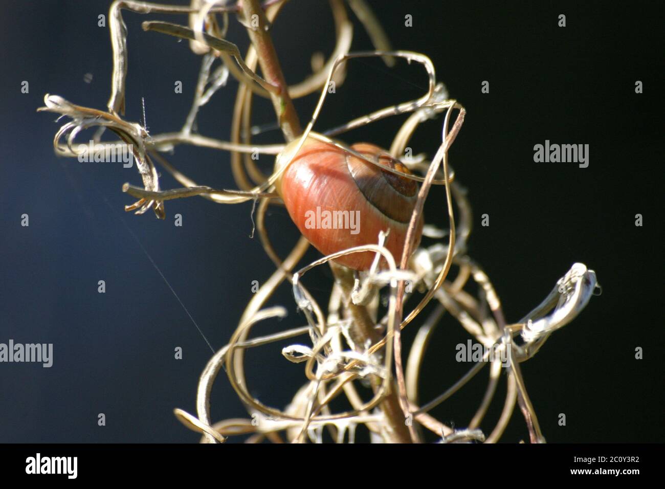 Worm housing hi-res stock photography and images - Alamy