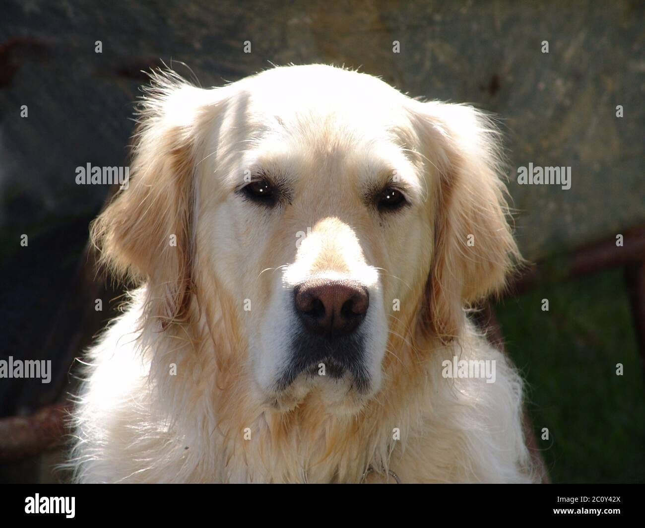 Redriver hi-res stock photography and images - Alamy