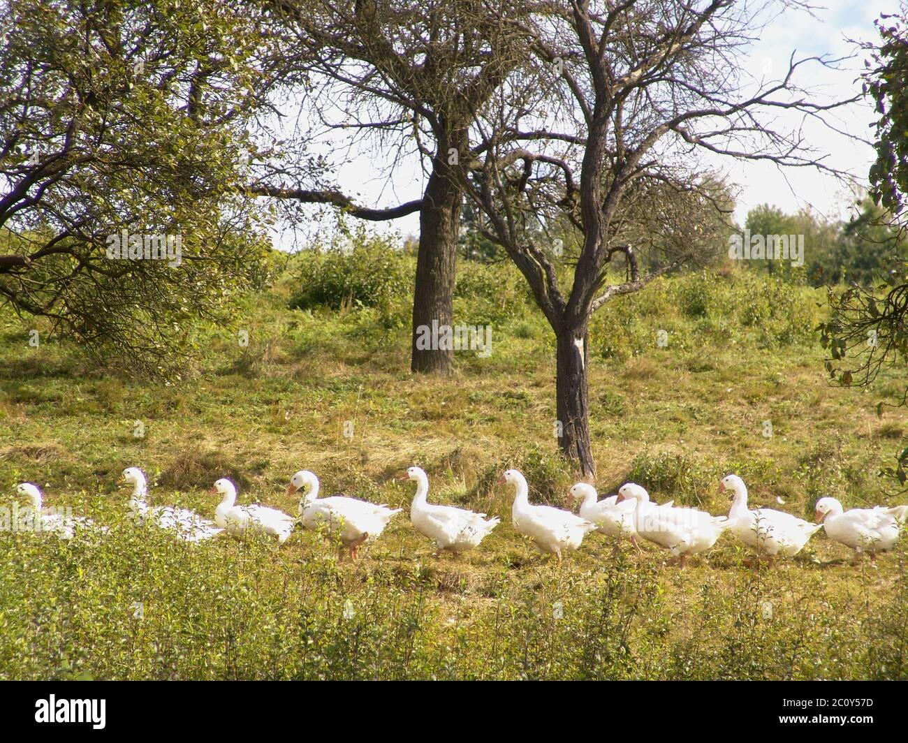 Single file hi-res stock photography and images - Alamy