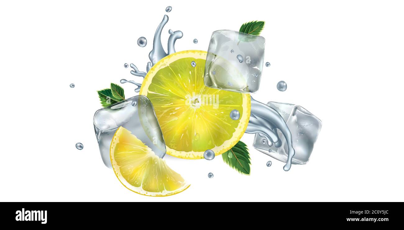 Lemon mint leaves Stock Vector Images - Alamy