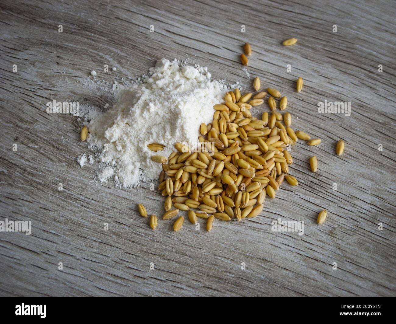 Whole grain wheat flour and wheat grains isolated on wooden background ...