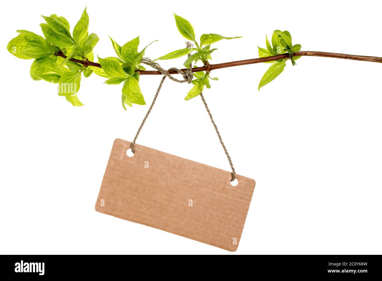 Tree branch with blank tag,isolated Stock Photo - Alamy