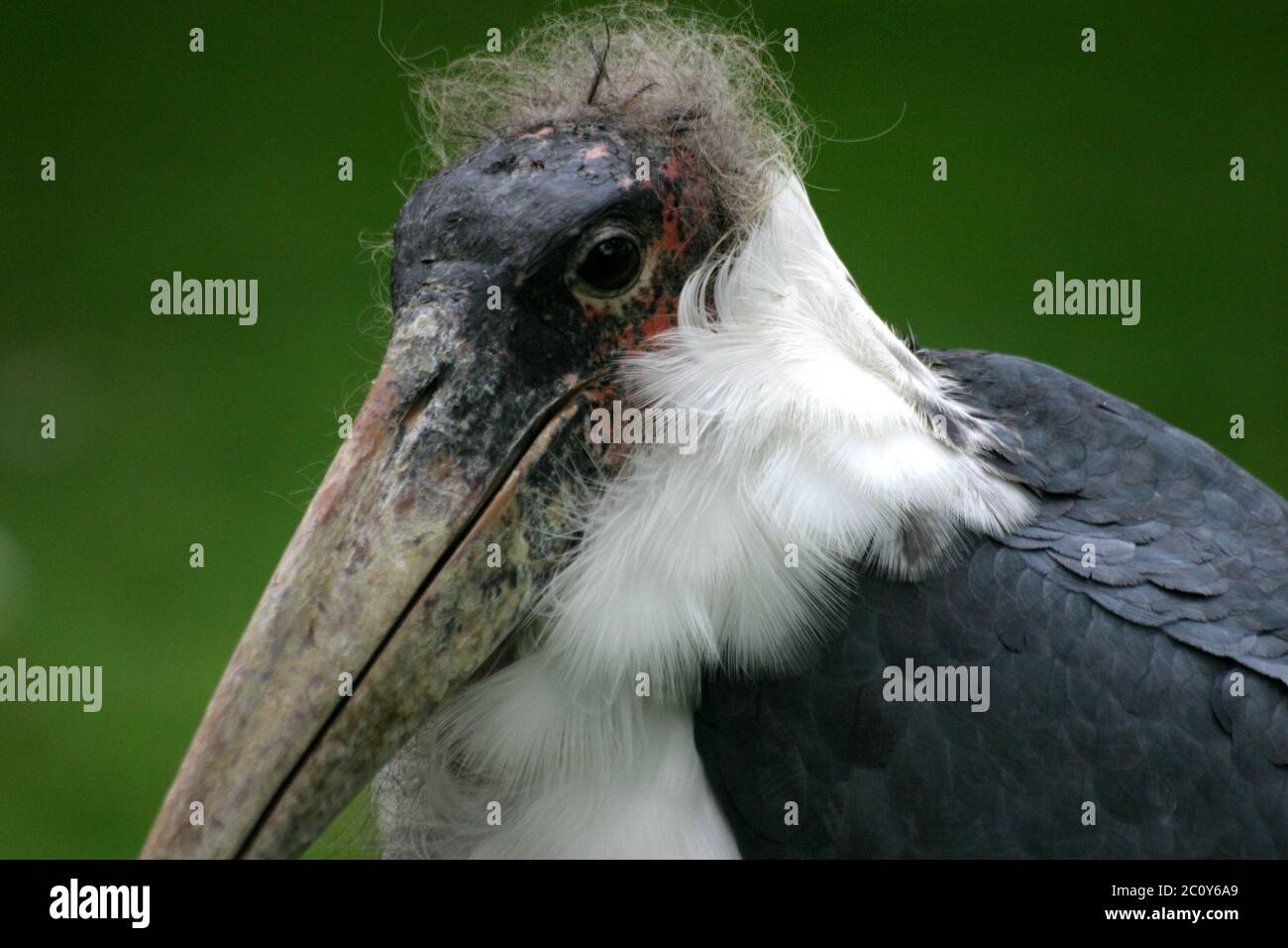 Heiligenkirchen hi-res stock photography and images - Alamy