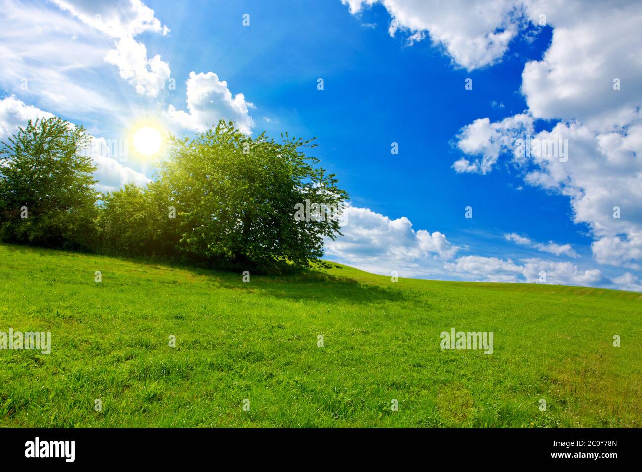 Beautiful sunset in field summer hi-res stock photography and images ...
