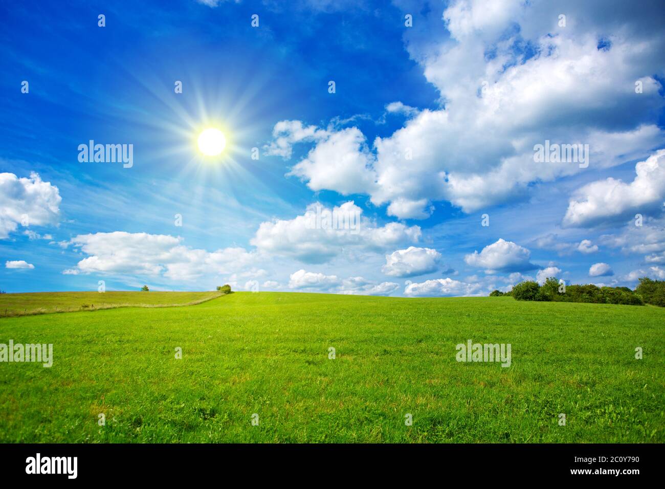 Field in summer sunset hi-res stock photography and images - Alamy