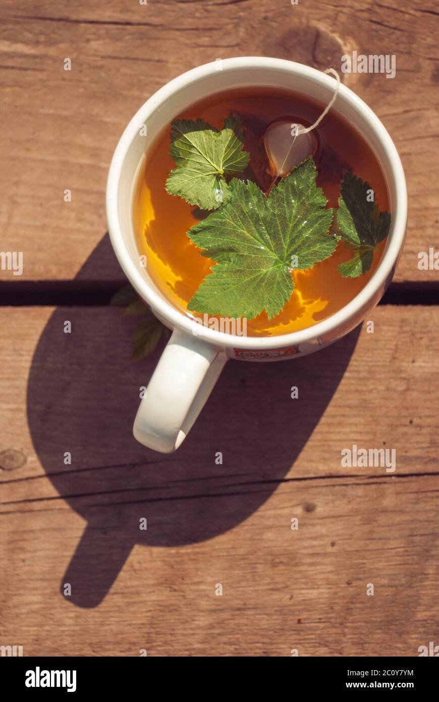 Leaf vertical image hi-res stock photography and images - Alamy