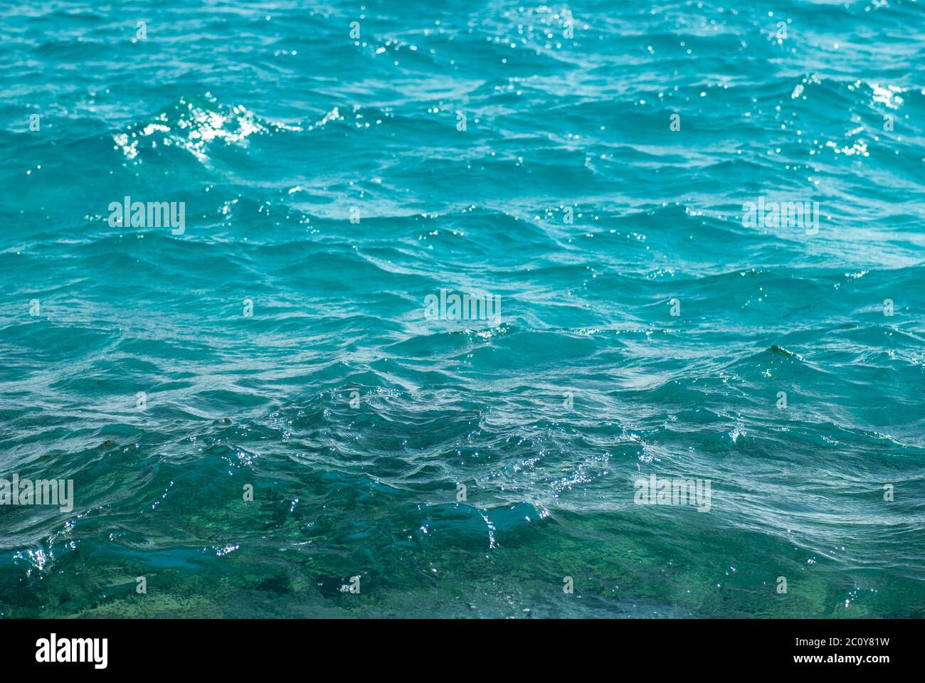 Photo closeup hi-res stock photography and images - Alamy