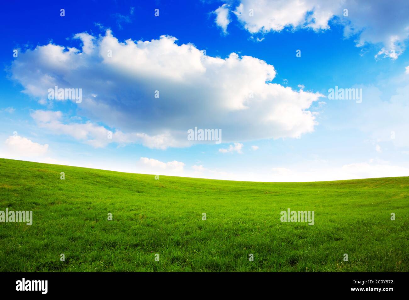 Green grass and blue sky hi-res stock photography and images - Alamy