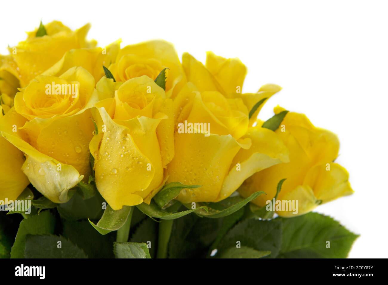 Bouquet of yellow rose hi-res stock photography and images - Alamy