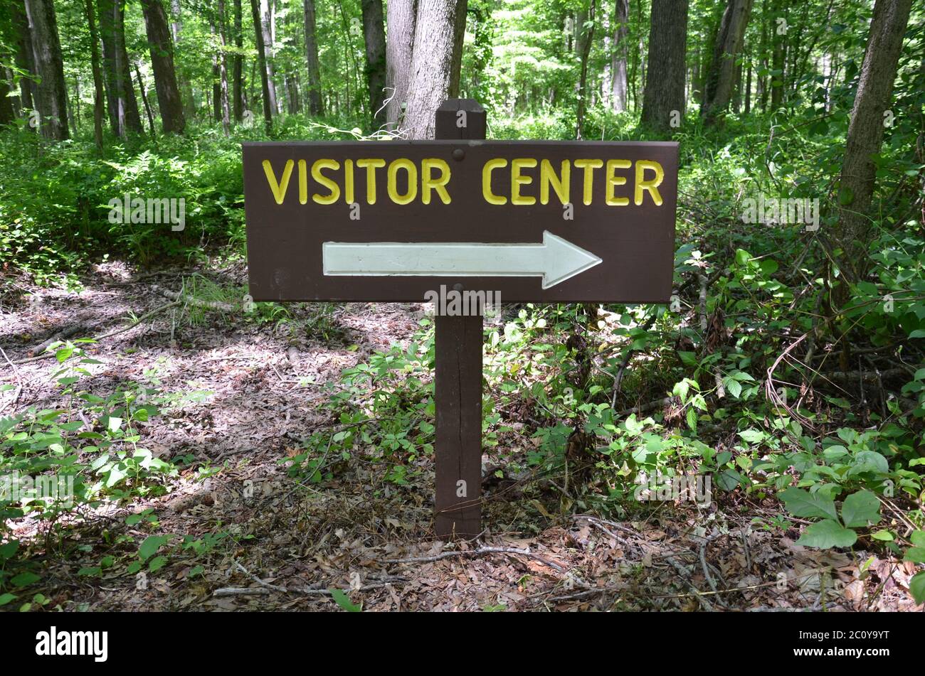 wood visitor center sign with white arrow in forest or woods Stock ...