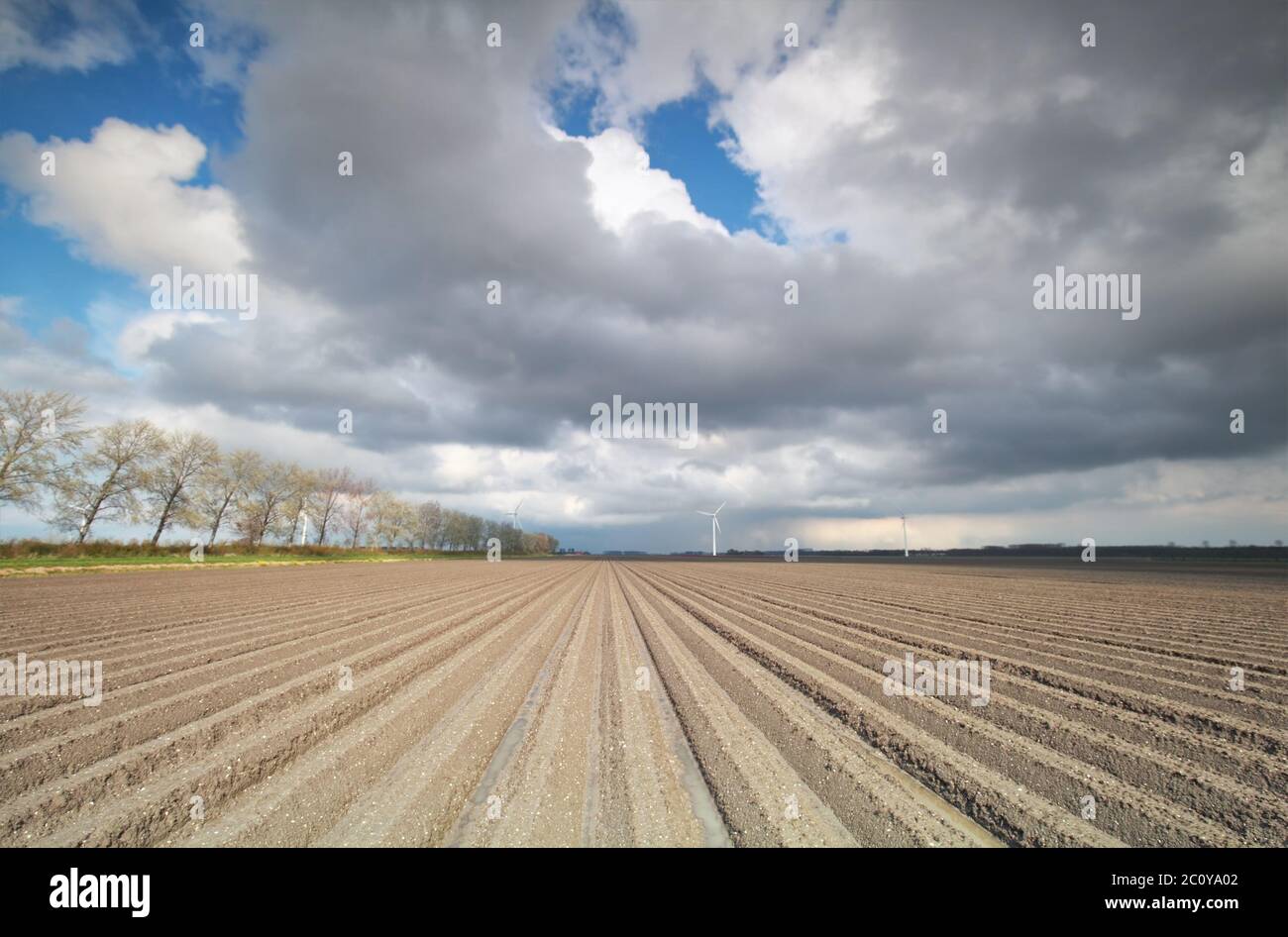 beautiful sky and plowed potato field Stock Photo - Alamy