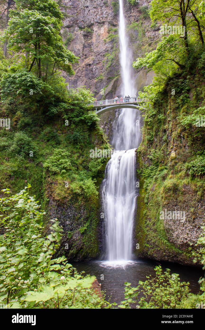 Multnomah Falls in Multnomah Creek, Oregon Stock Photo - Alamy