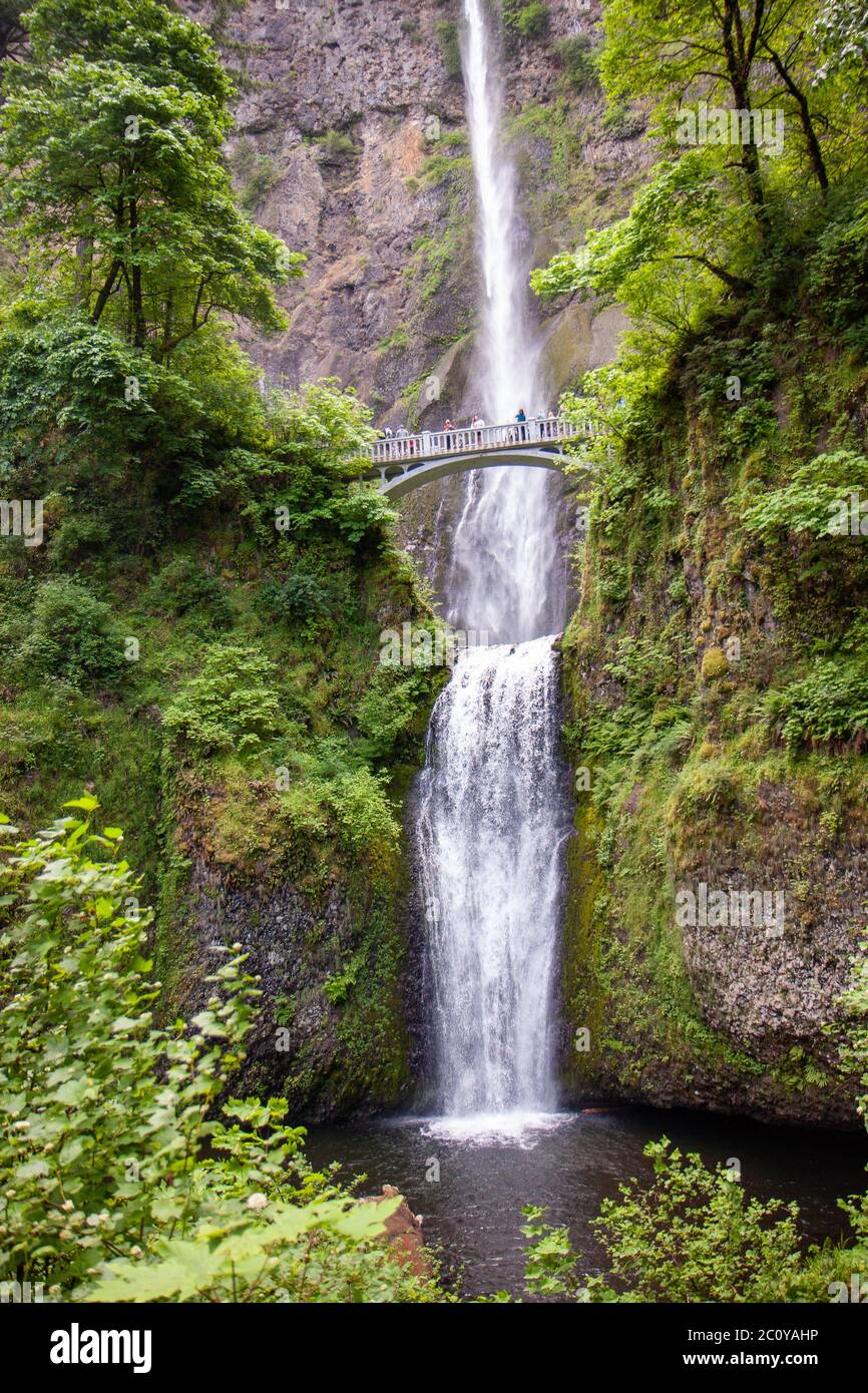 Multnomah Creek High Resolution Stock Photography and Images - Alamy