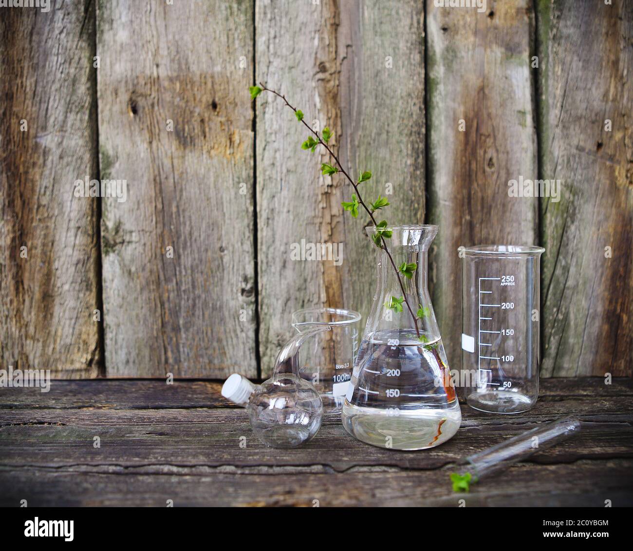 Green plants in laboratory equipment Stock Photo - Alamy