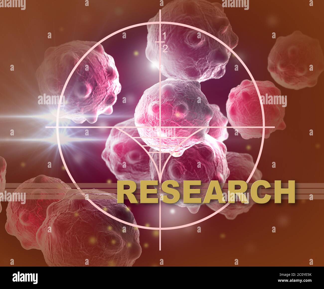 Cell theories hi-res stock photography and images - Alamy