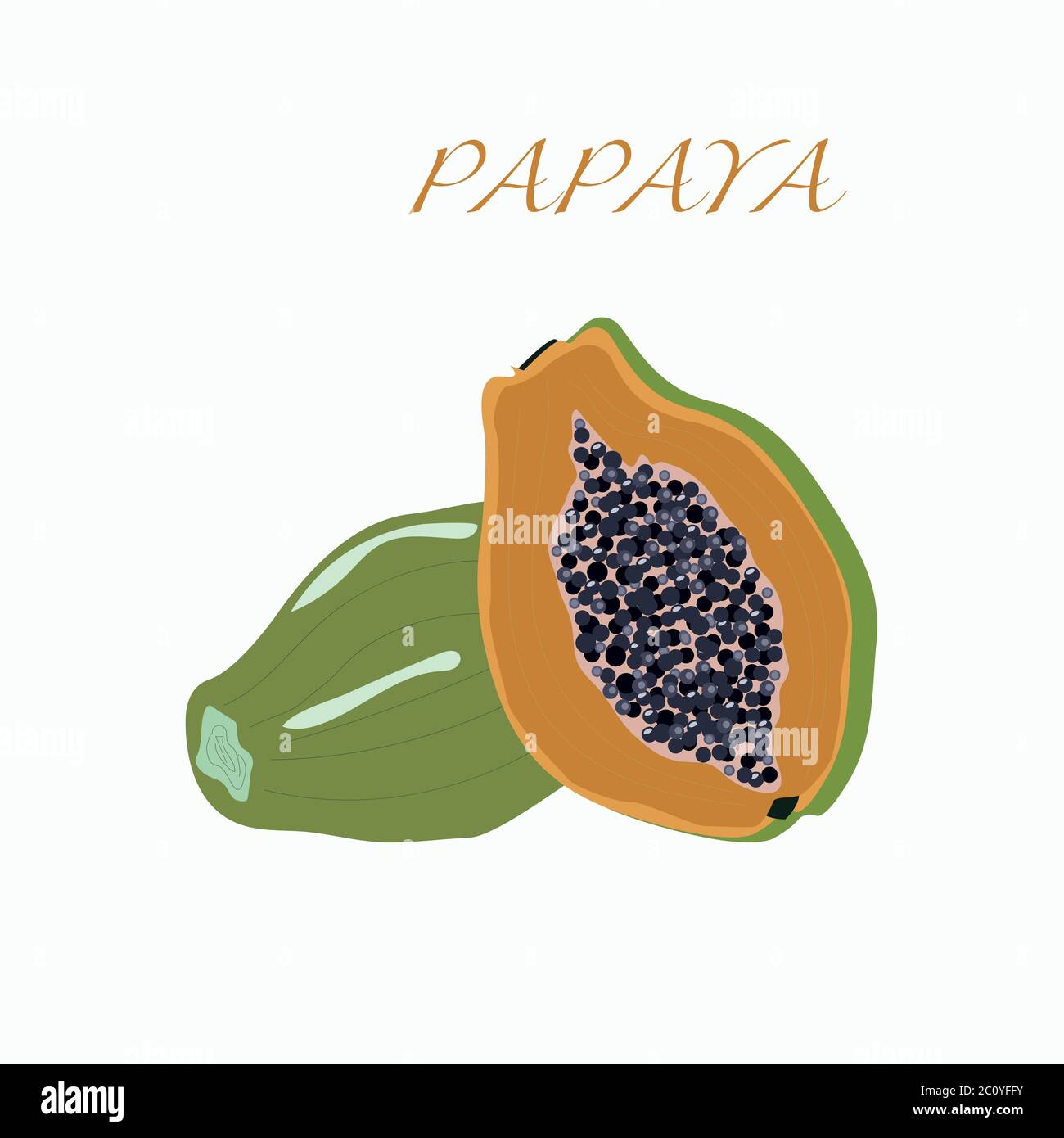 Papaya fructus. Illustration Vector. Vector set de nova matura ...
