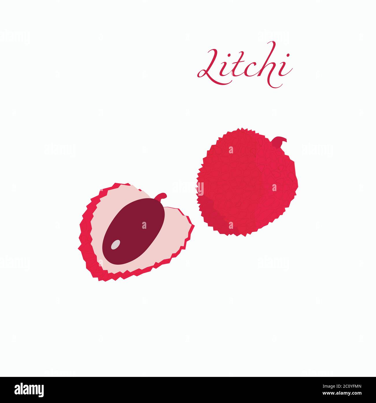 Close up lychee Stock Vector Images - Alamy