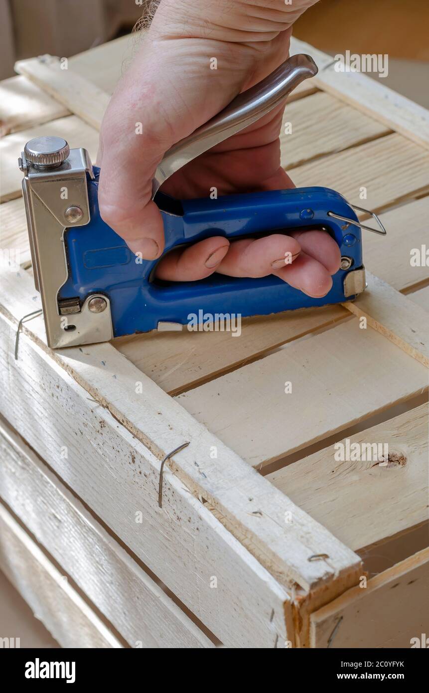 A man collects a wooden box using a stapler. Production of eco-friendly ...