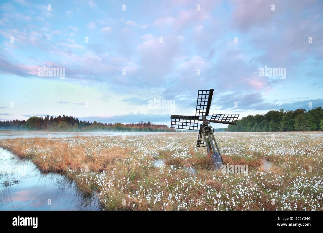 Windmill and grass hi-res stock photography and images - Alamy