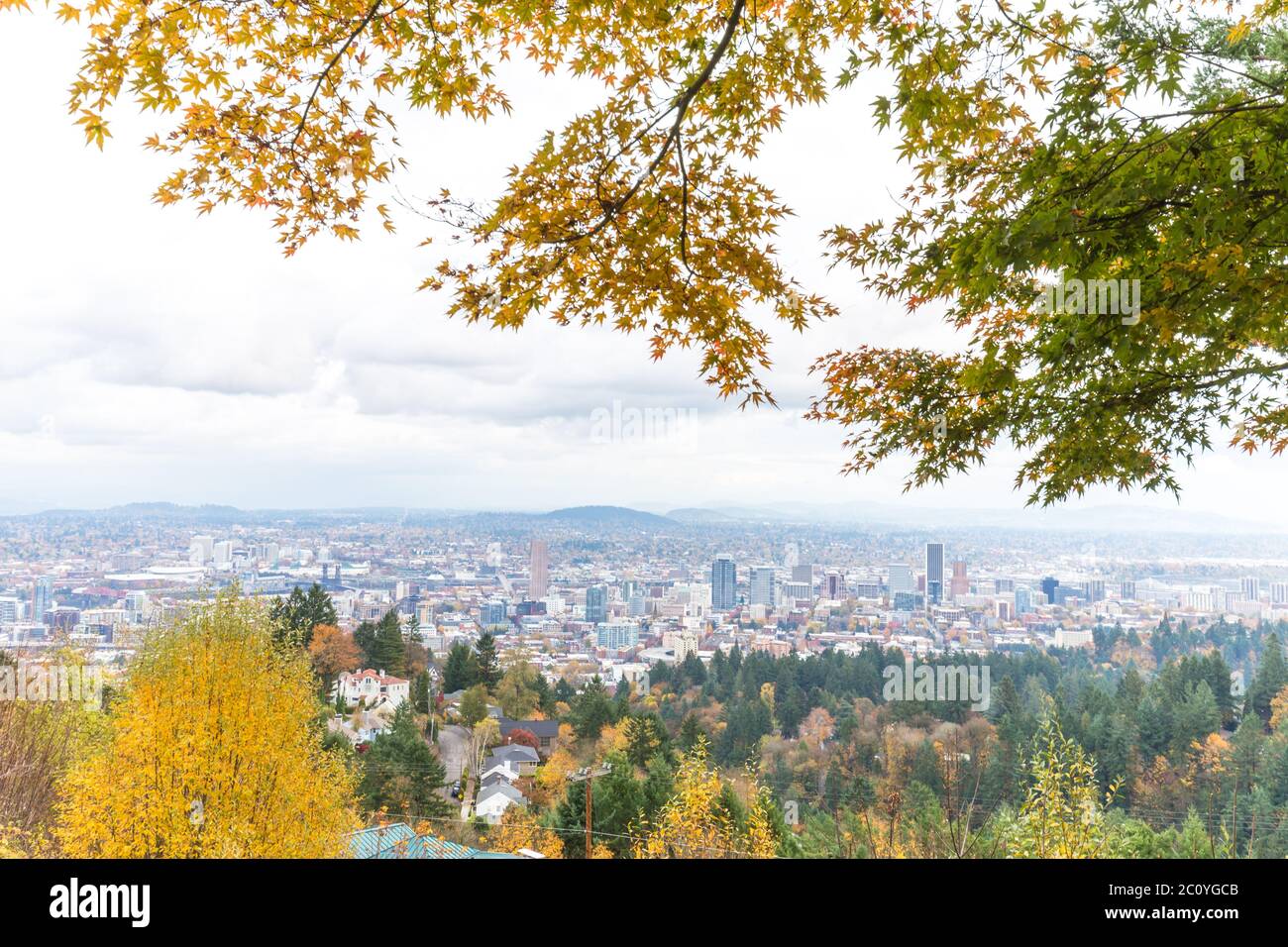 cityscape and skyline of portland on view from forest Stock Photo - Alamy