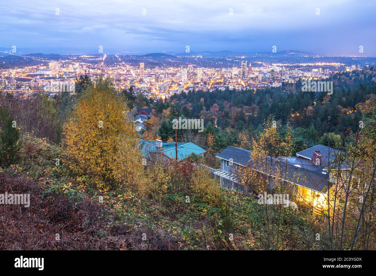 Skyline cityscape from forest hi-res stock photography and images - Alamy