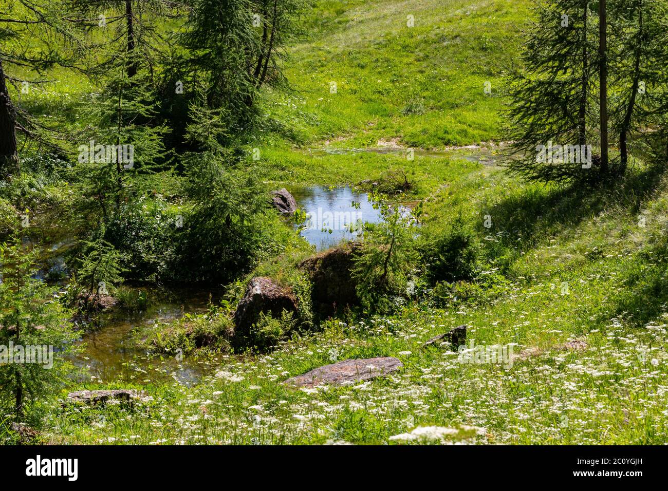 Mountain panoramas at Alpe Devero, Baceno, Lepontine Alps, Ossola ...