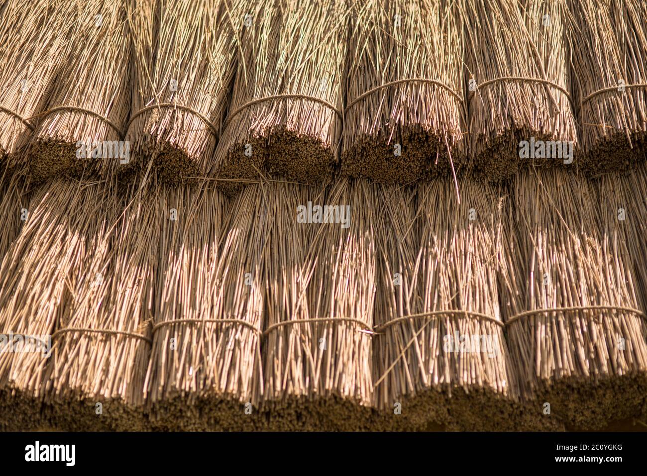 Reed roof texture hi-res stock photography and images - Alamy