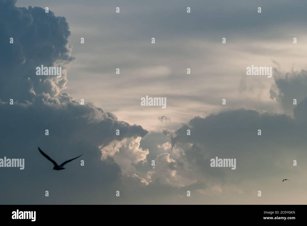 Natural background of colorful dramatic blue sky during sunset time ...